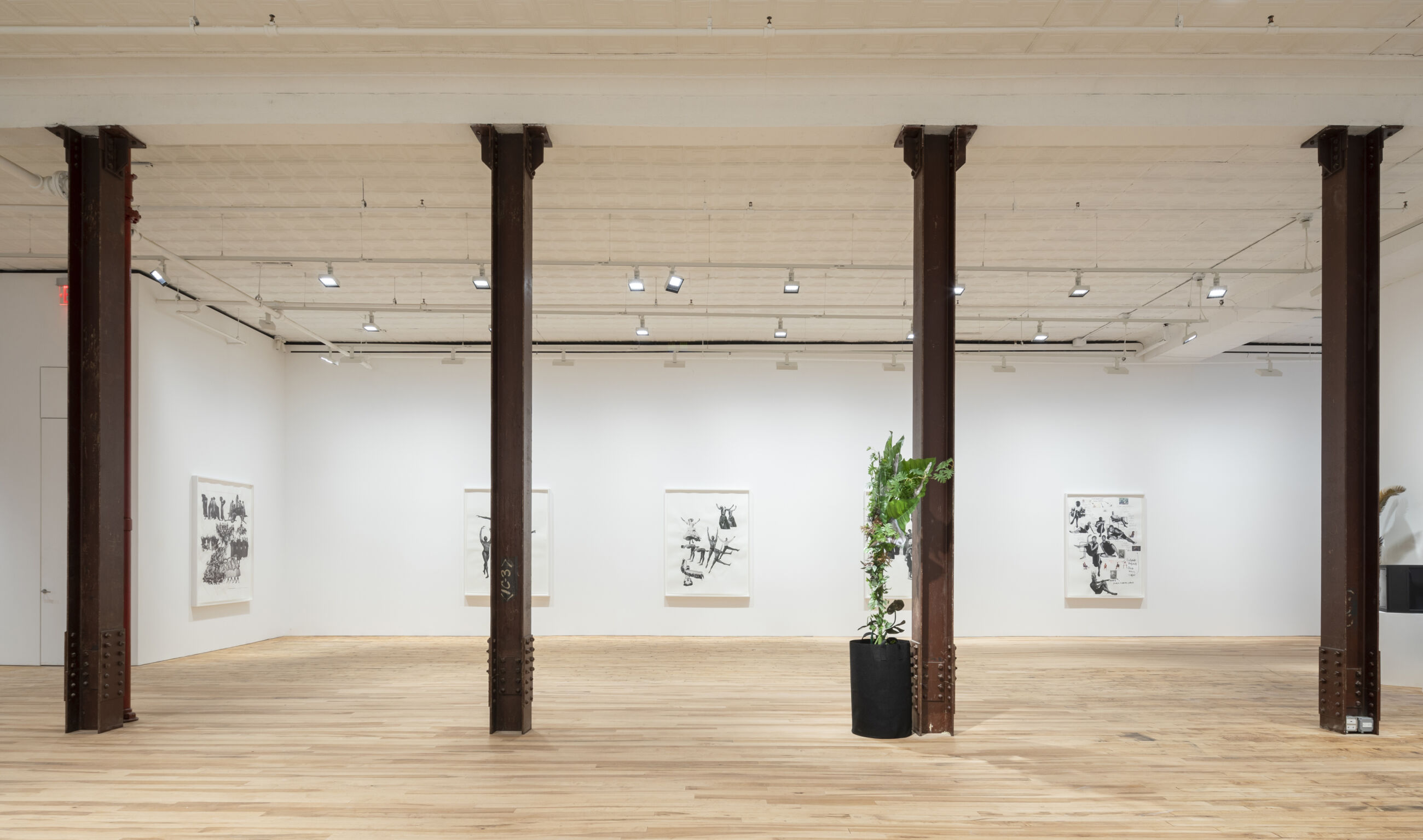 David Zwirner, 52 Walker Gallery, E. L. Haynes - Selldorf Architects ...